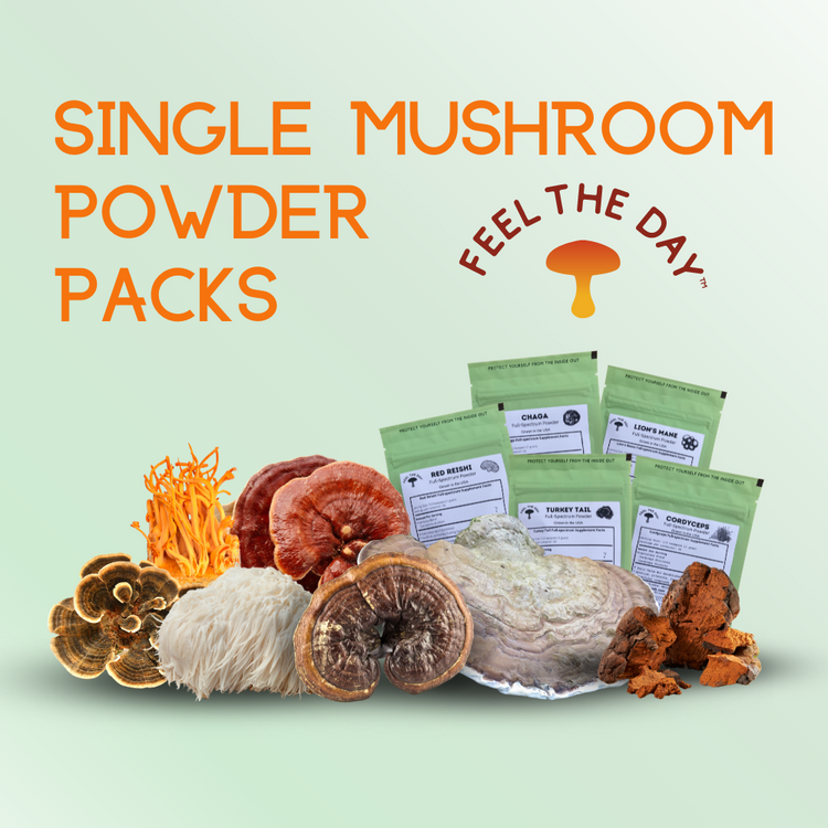 Feel The Day™ medicinal mushrooms and adaptogen supplements – Adaptogen ...