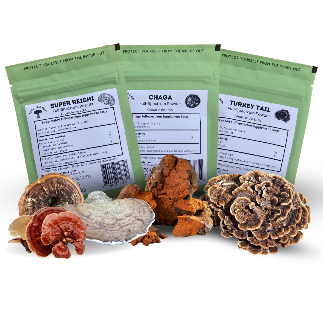 Immunity mushroom powder supplement pack – Adaptogen Superfoods