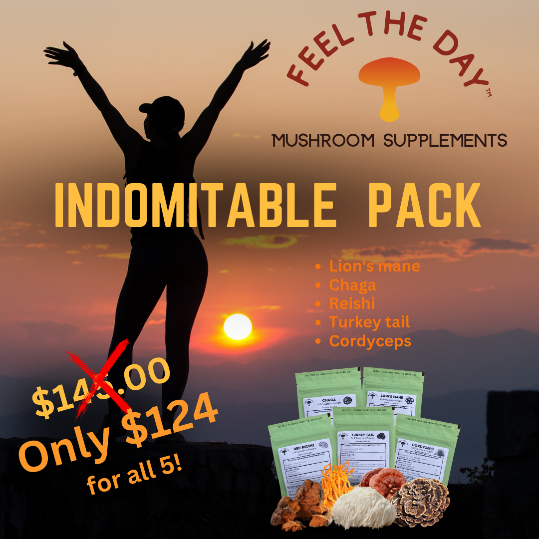 Indomitable mushroom powder supplement pack – Adaptogen Superfoods